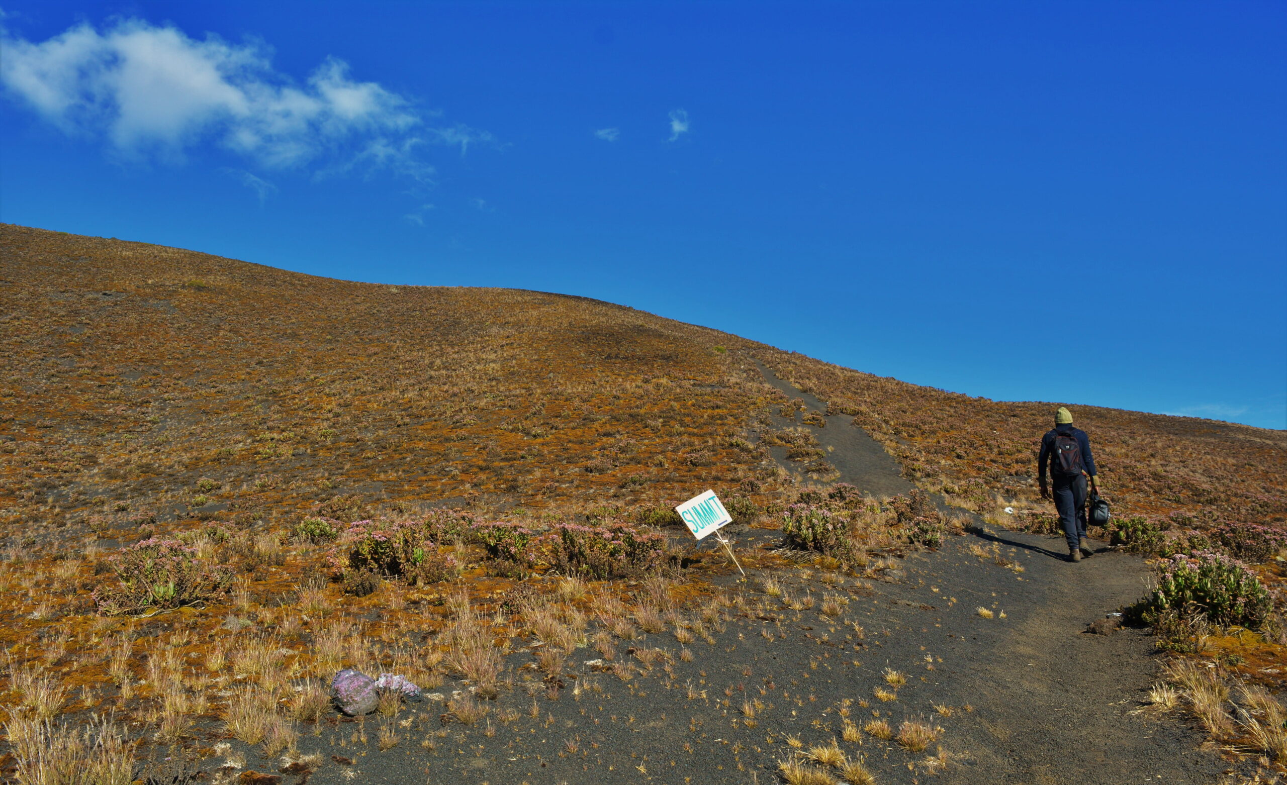 Home - Truth Unveiled Transforms