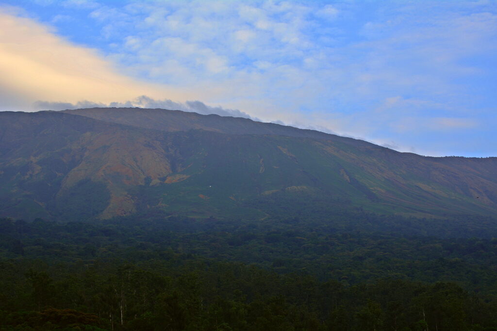 Home - Truth Unveiled Transforms